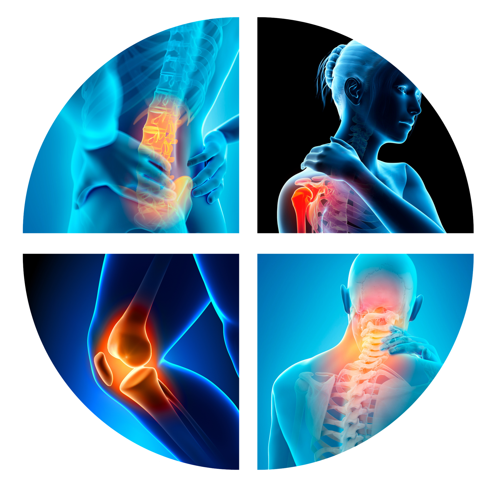 matrixphysio